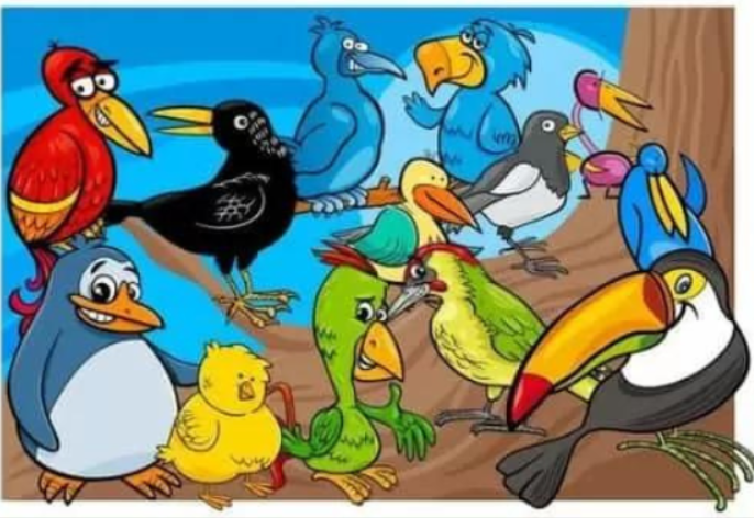 Spot the Difference – The Birds – Tell about the south